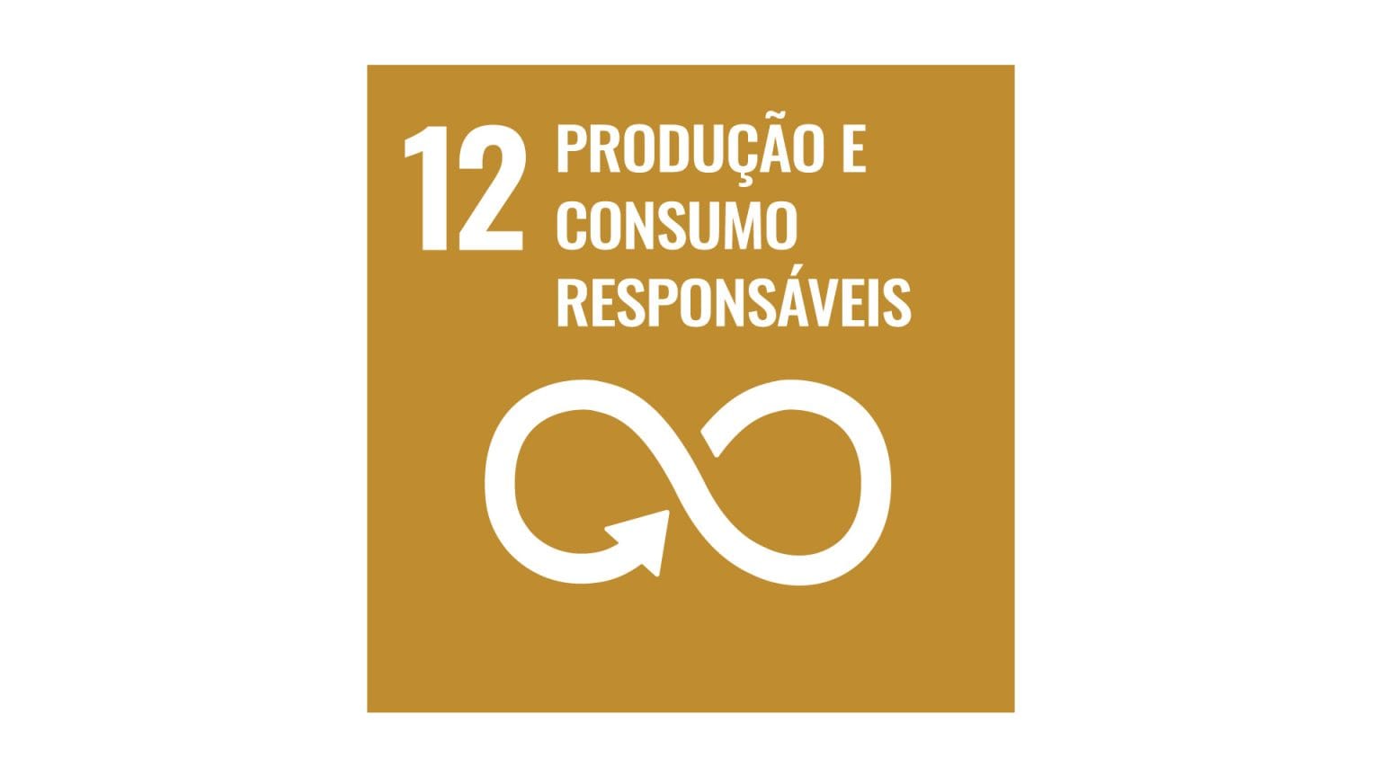 ODS 12 – Consumo e produção responsáveis: O que eu tenho a ver com isso ...